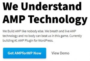 AMPForWP Coupon: Get Discount Code on AMP Plugin December 2024